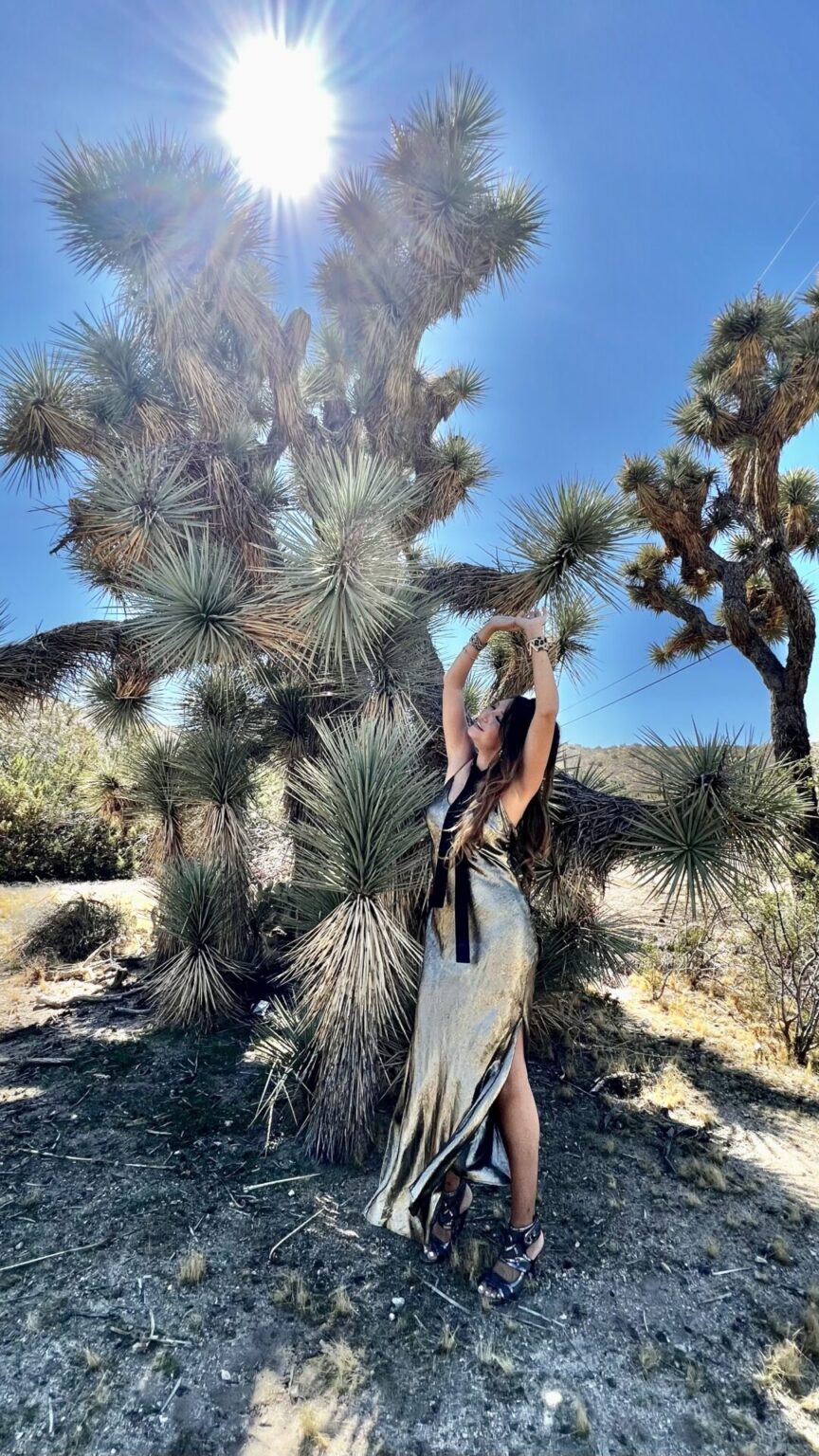 Yucca Valley Guide to Best Hidden Gems and Unusual Pit Stops